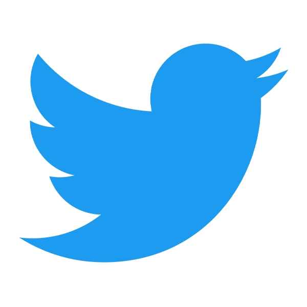 Twitter Logo History - BrandCrowd Blog | BrandCrowd