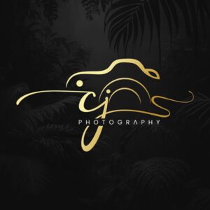 63 Studio Logo Design Ideas - BrandCrowd Blog | BrandCrowd