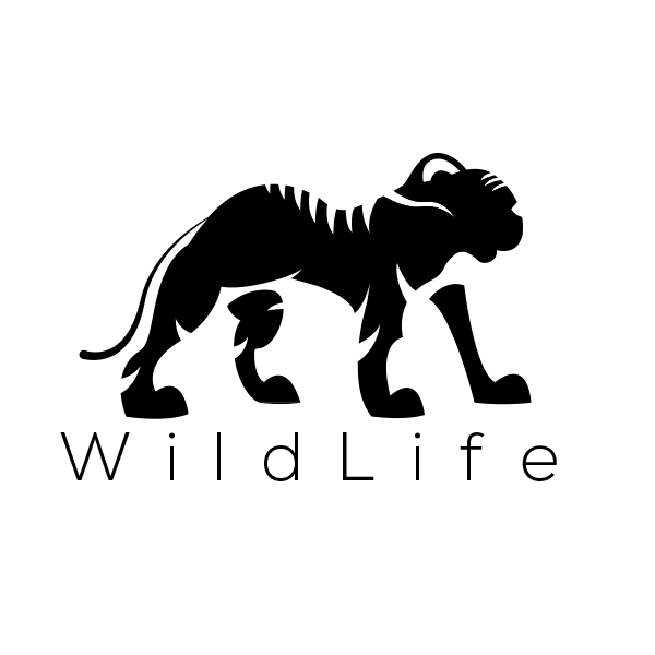 49 Adventure Logos for the Bold and Brave Brands - BrandCrowd Blog ...