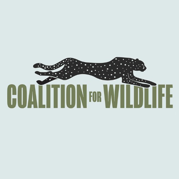 49 Adventure Logos for the Bold and Brave Brands - BrandCrowd Blog ...