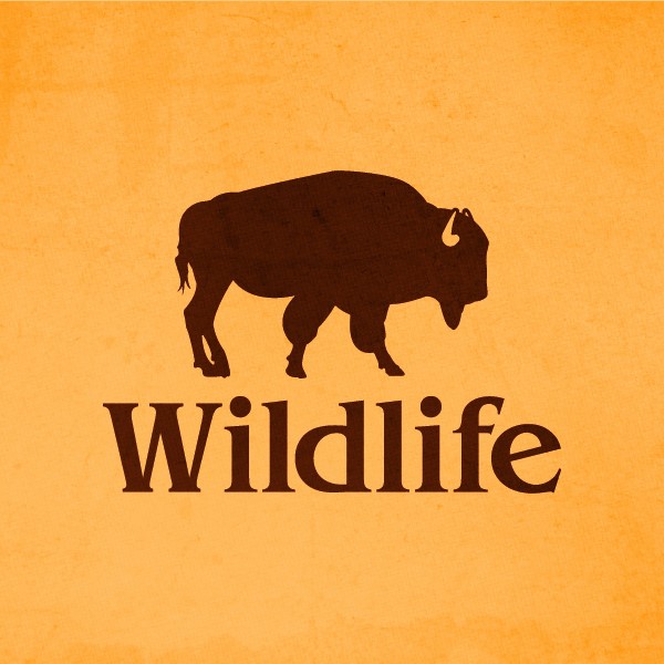 49 Adventure Logos for the Bold and Brave Brands - BrandCrowd Blog ...