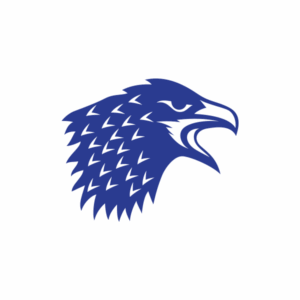 49 Falcon Logos That Are Soaring With Style - BrandCrowd Blog | BrandCrowd
