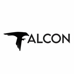 49 Falcon Logos That Are Soaring With Style - BrandCrowd Blog | BrandCrowd