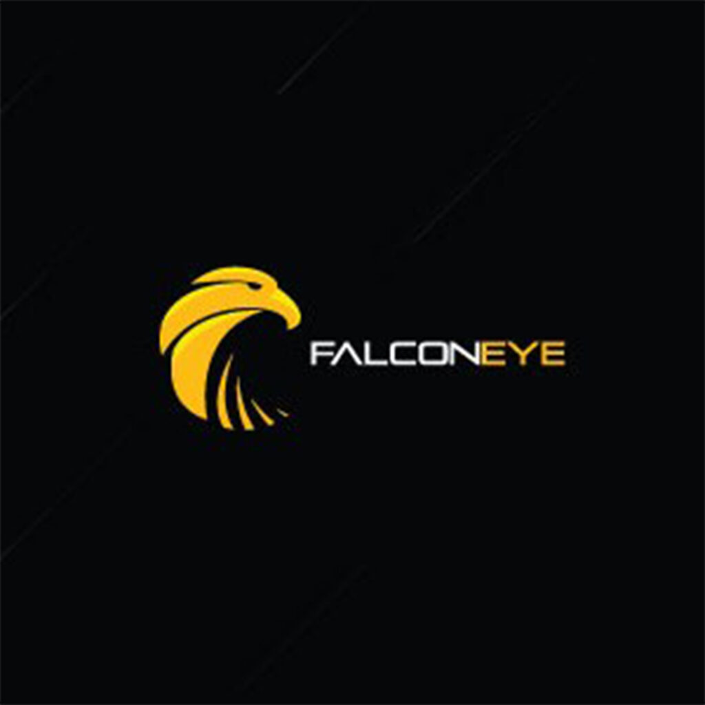 49 Falcon Logos That Are Soaring With Style - BrandCrowd Blog | BrandCrowd
