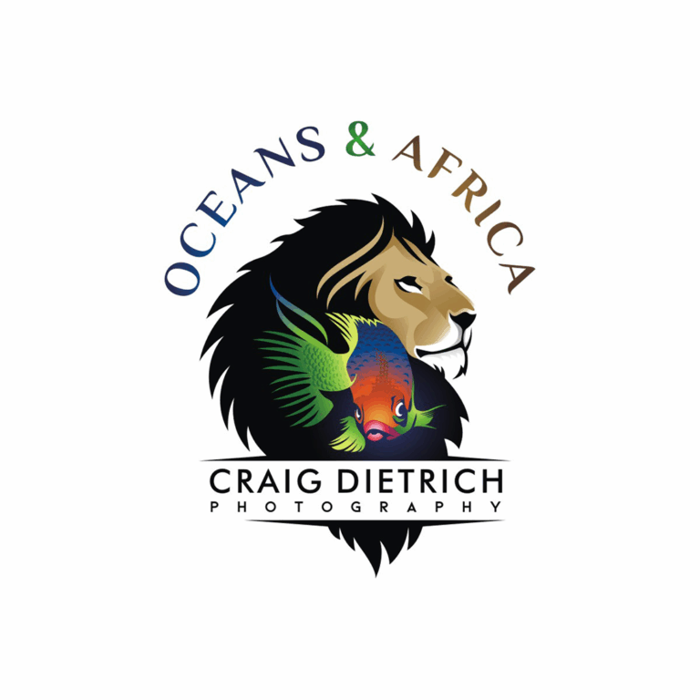 40 Safari Logos for an Adventurous Branding Journey - BrandCrowd Blog ...