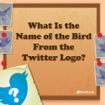 What Is the Name of the Bird From the Twitter Logo? | BrandCrowd blog