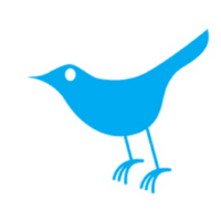 What Is the Name of the Bird From the Twitter Logo? | BrandCrowd blog