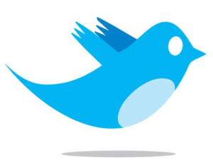 What Is the Name of the Bird From the Twitter Logo? | BrandCrowd blog
