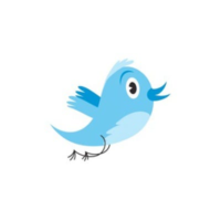 What Is the Name of the Bird From the Twitter Logo? | BrandCrowd blog