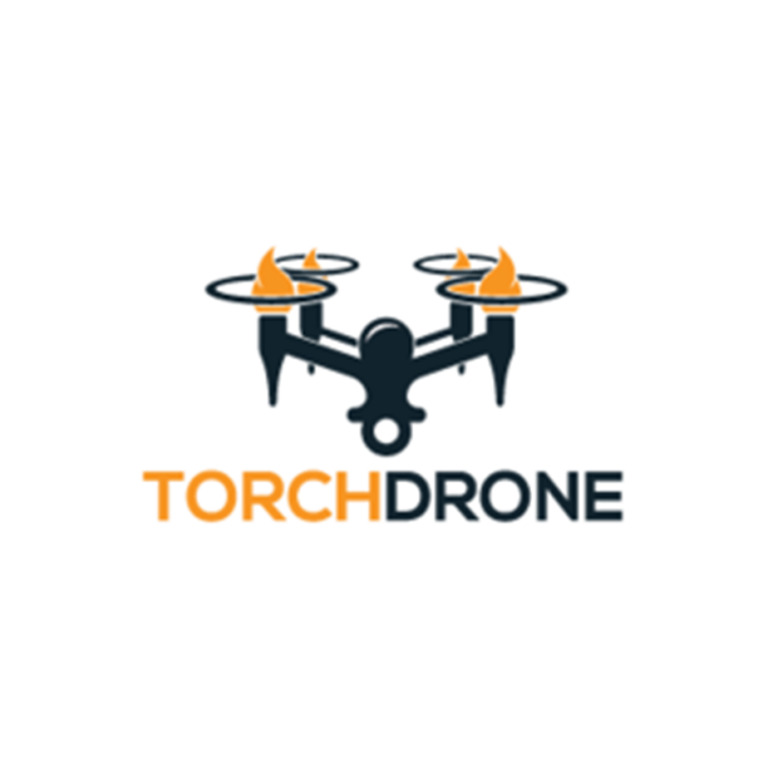 50 Drone Logos For Skyrocketing Brands | BrandCrowd blog
