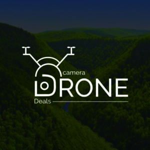 50 Drone Logos For Skyrocketing Brands | BrandCrowd blog