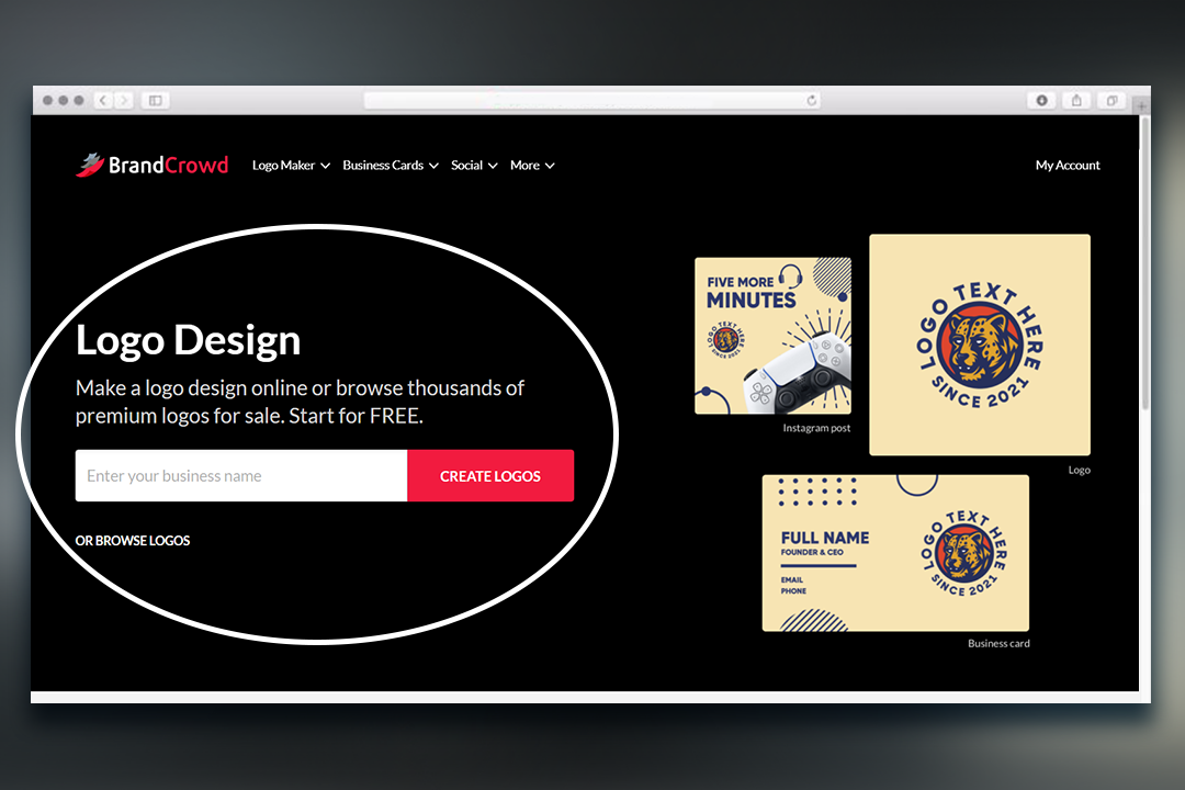 Chameleon Website Design Principles | BrandCrowd blog