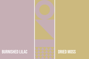 60 Color Combinations for Eye-Catching Brands | BrandCrowd blog