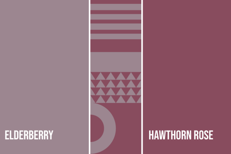 60 Color Combinations for Eye-Catching Brands | BrandCrowd blog