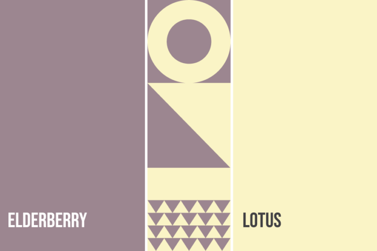 60 Color Combinations for Eye-Catching Brands | BrandCrowd blog