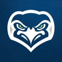 77 Fantasy Football Logos to Play On | BrandCrowd blog