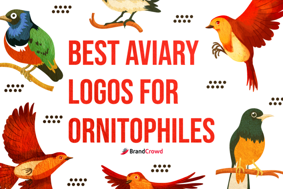 50 Fun Aviary Logo Designs | BrandCrowd blog