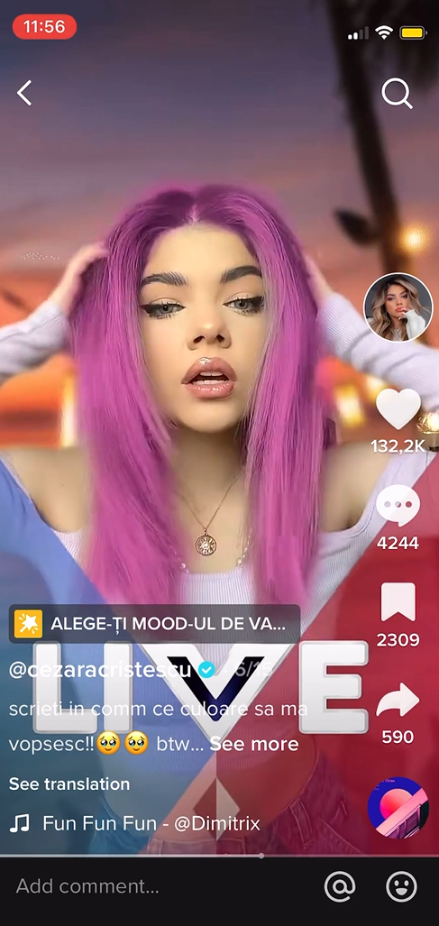 The Ultimate Guide to Winning at TikTok Ads | BrandCrowd blog