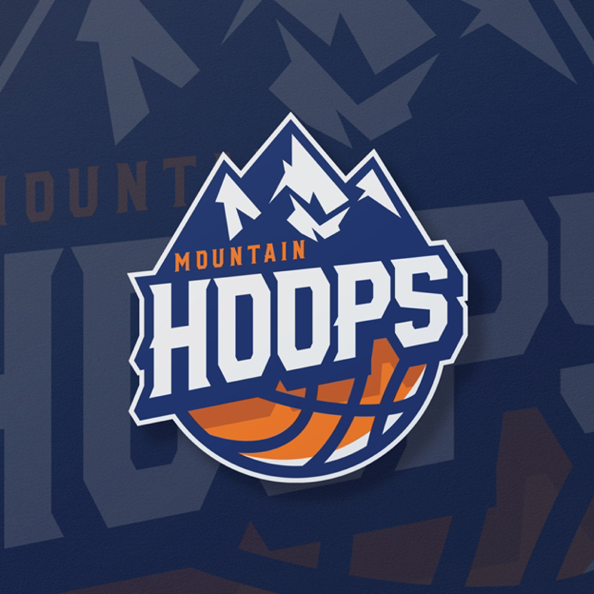 50 NBA Logos That Will Drive Fans Wild | BrandCrowd blog