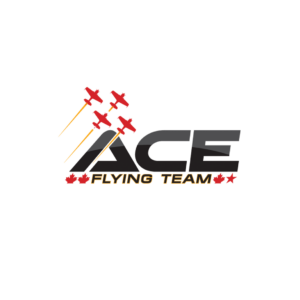 58 Inspirational Flying Logo Designs | BrandCrowd blog