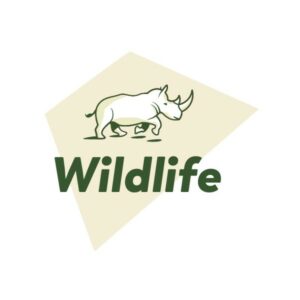 49 Adventure Logos for the Bold and Brave Brands | BrandCrowd blog