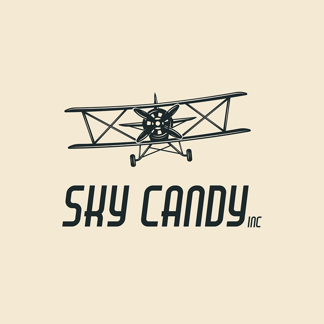 49 Aviation Logos: Your Brand’s Ticket to the Sky | BrandCrowd blog