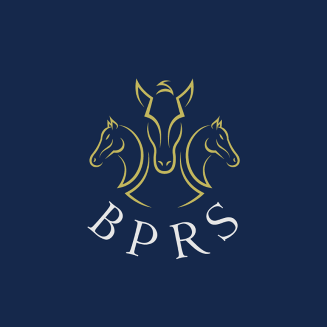 48 Luxurious Logos For A Regal Brand Identity | BrandCrowd blog