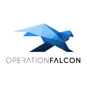 49 Falcon Logos That Are Soaring With Style | BrandCrowd blog