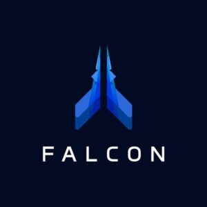 49 Falcon Logos That Are Soaring With Style | BrandCrowd blog