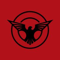 49 Falcon Logos That Are Soaring With Style | BrandCrowd blog