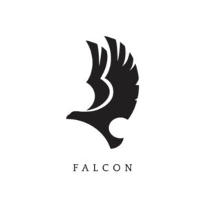 49 Falcon Logos That Are Soaring With Style | BrandCrowd blog