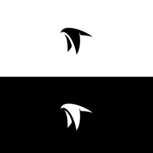 49 Falcon Logos That Are Soaring With Style | BrandCrowd blog