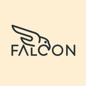 49 Falcon Logos That Are Soaring With Style | BrandCrowd blog