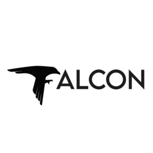 49 Falcon Logos That Are Soaring With Style | BrandCrowd blog