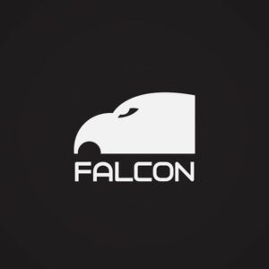 49 Falcon Logos That Are Soaring With Style | BrandCrowd blog