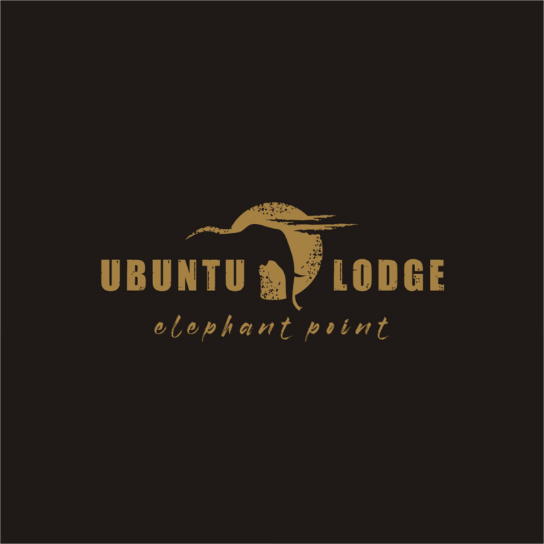40 Safari Logos for an Adventurous Branding Journey | BrandCrowd blog