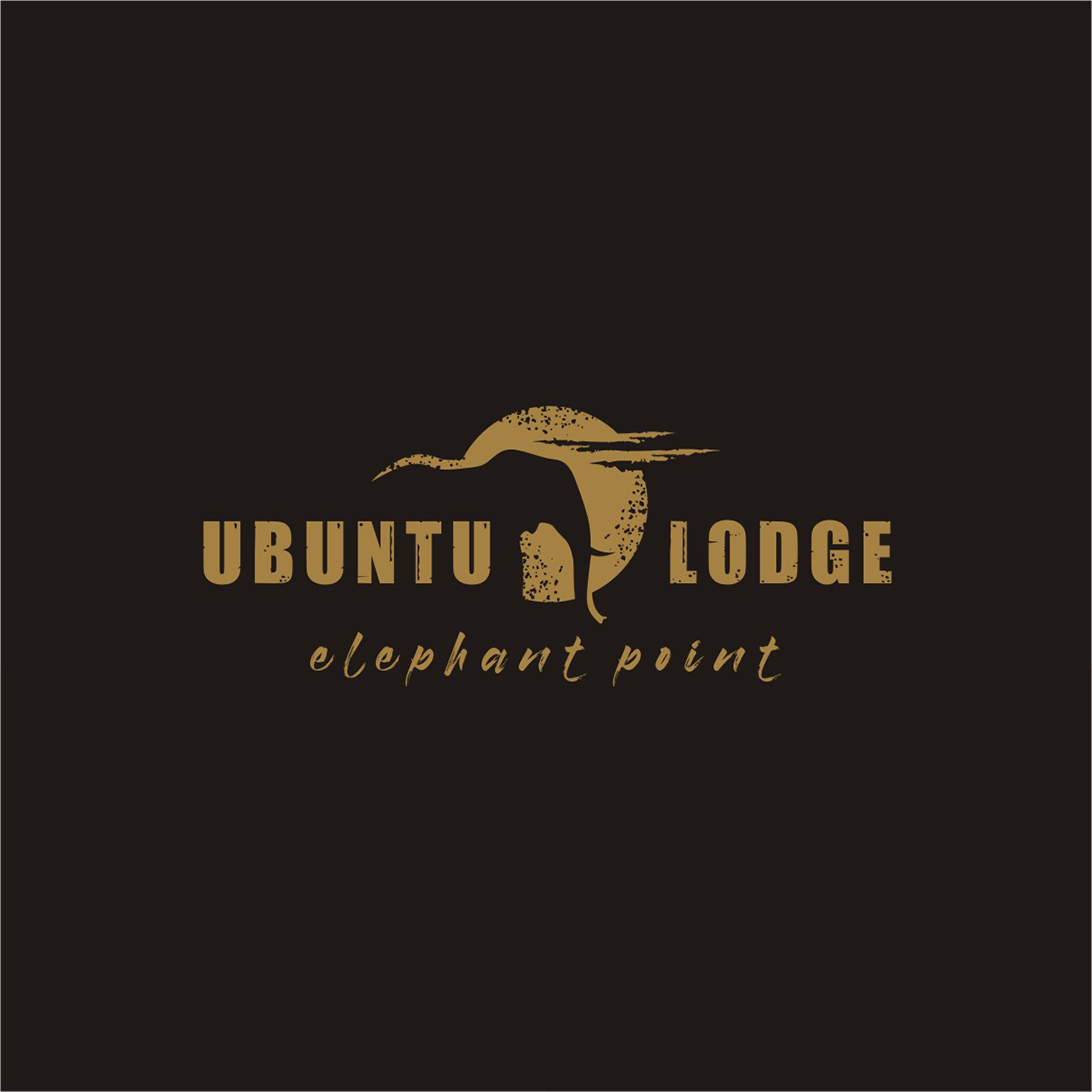 40 Safari Logos for an Adventurous Branding Journey | BrandCrowd blog